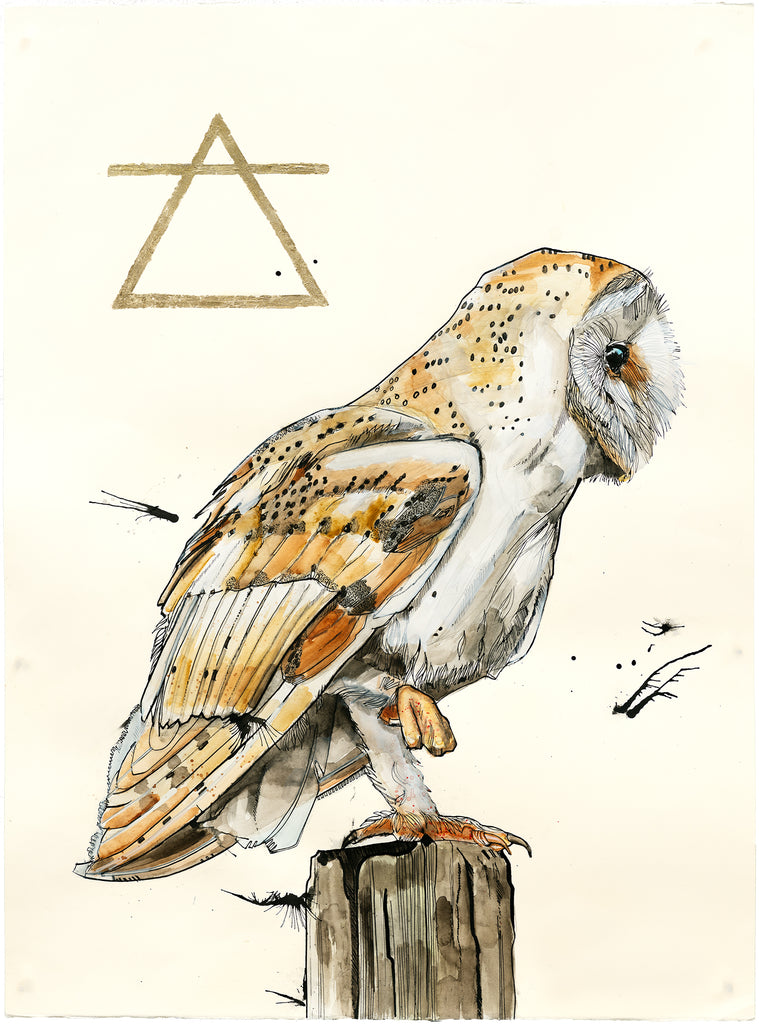 Michael Rohner Art | Pen and Ink illustrations with Mixed Media Color ...