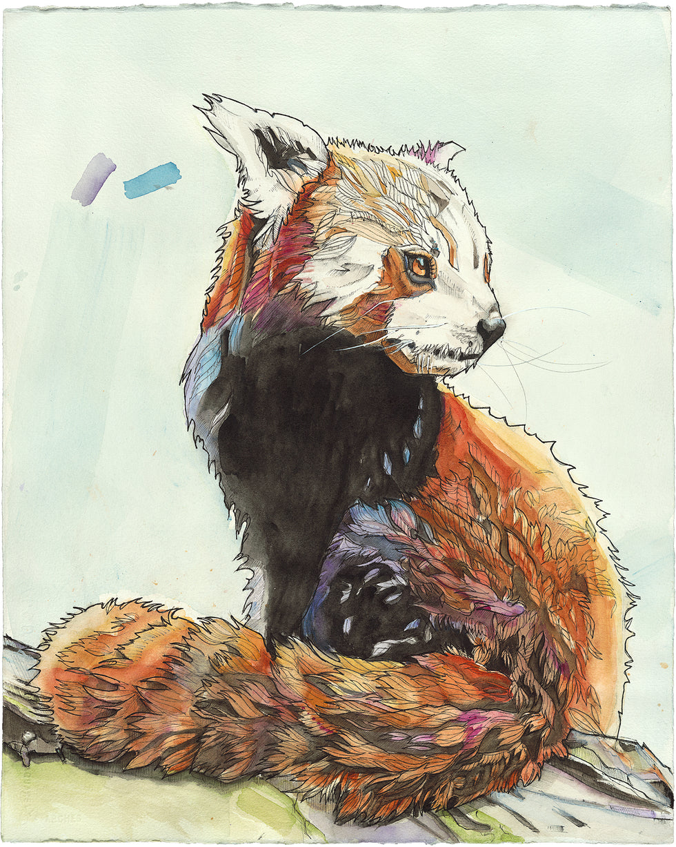 Michael Rohner Art | Pen and Ink illustrations with Mixed Media Color ...