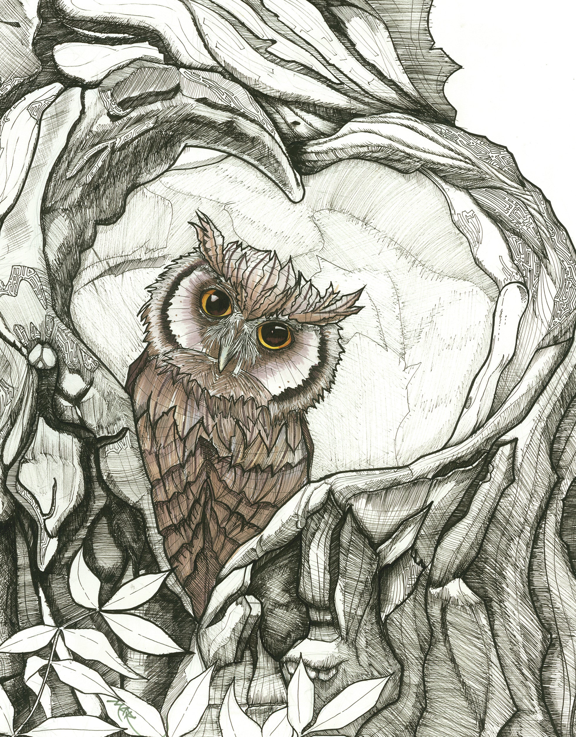 how to draw an baby owl